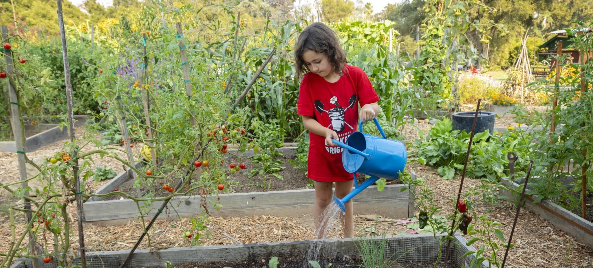 Step by Step - THE GROWING COMMUNITY PROJECT