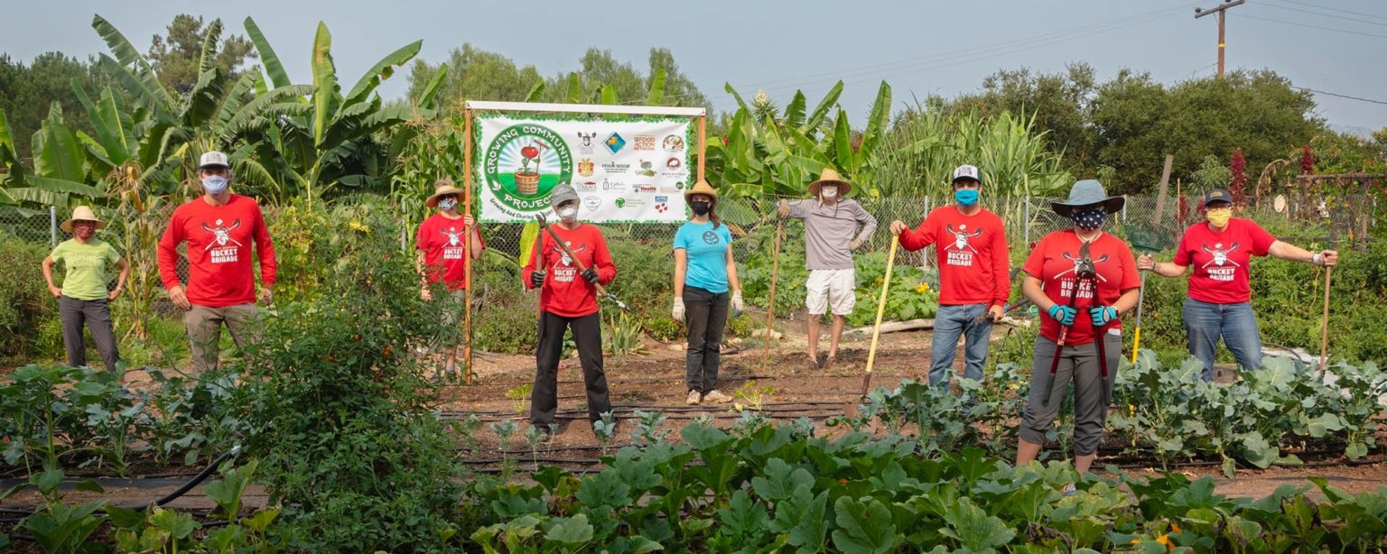 Donate - THE GROWING COMMUNITY PROJECT